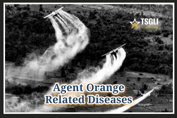 Agent Orange Related Diseases | Law Offices of Peter S. Cameron, APC
